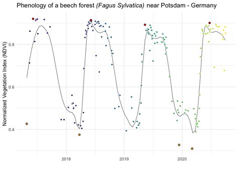 Use Google S Earth Engine Python API In RStudio