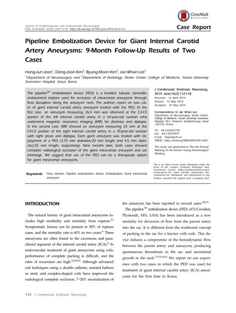 Pdf Pipeline Embolization Device For Giant Internal Carotid Artery Aneurysms 9 Month Follow