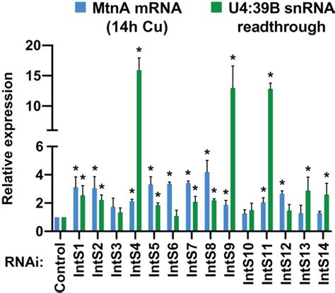 Attenuation Of Eukaryotic Protein Coding Gene Expression Via Premature