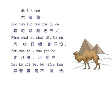 大骆驼 看图学歌谣 宝宝吧