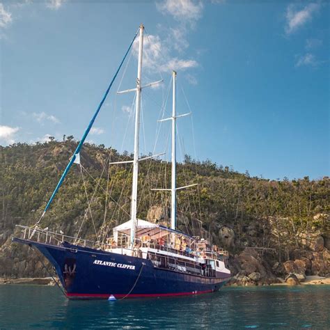 Great Barrier Reef Animals Over 1500 Species Of Fish Live On The Gbr