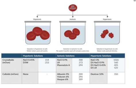 Fluids Flashcards Quizlet