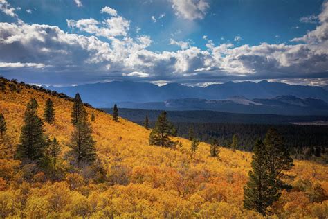 California Fall Foliage Map