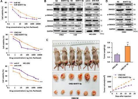 How To Read Ebv Interpretation Chart Keski