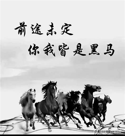 今日长缨在手，何时缚住苍龙？ 实话实说， 中利集团 的老王总在2011年就购买了腾辉光伏业务，眼光和格局还是很厉害的，这一点和澄星的李兴老板