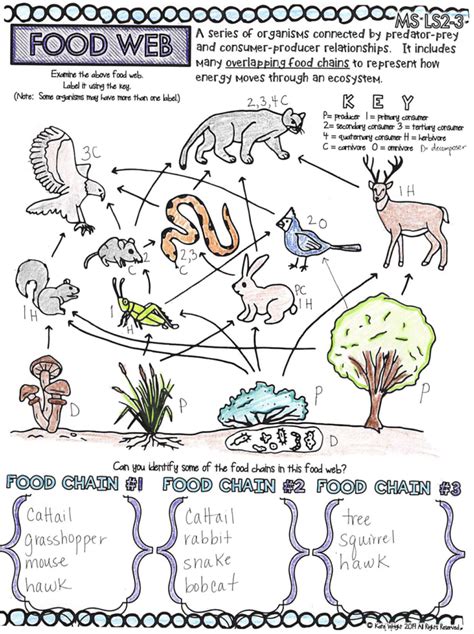 Ms Ls2 Ngss Ecosystems Doodle Note Bundle Captivate Science