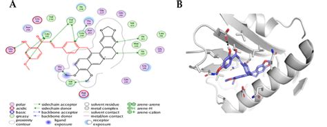 A Binding Mode Of Compound 25 Depicted As A 2d Diagram The Figure Download Scientific