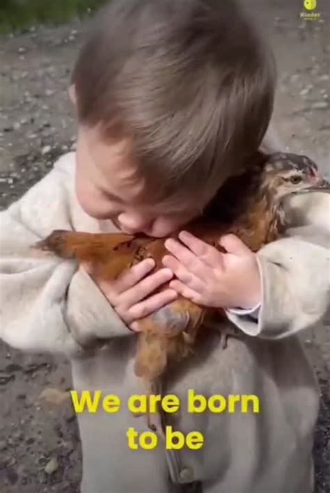 Halima Mohiuddin Fin Mis Hcmgt On Linkedin Be A Safe Haven Lets