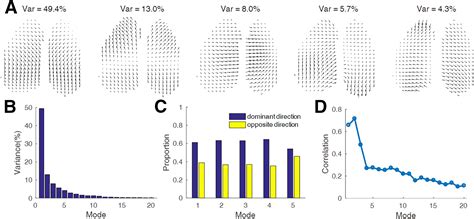 Cortex Wide Dynamics Of Intrinsic Electrical Activities Propagating Waves And Their