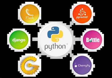 Python Web Development Company Whiznic Solutions