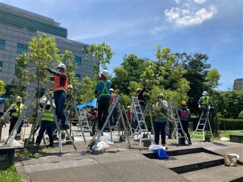 新北樹木修剪認證 再次開放報名