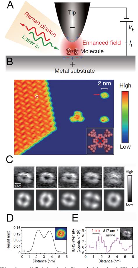 Figure 2 From Advances Of Tip Enhanced Raman Spectroscopy Ters In Electrochemistry