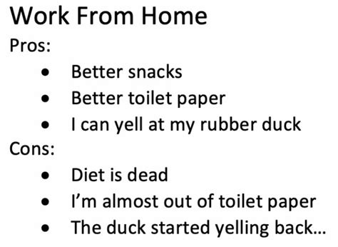 Rubber Ducky Debugging From Home Scrolller