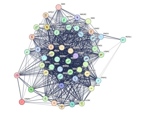 Pathcards Gpcr Downstream Signalling Pathway And Related Pathways