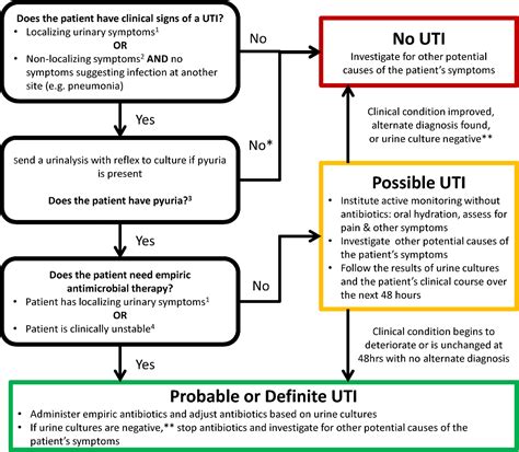 Figure 1 From Urinary Tract Infection And Asymptomatic Bacteriuria In