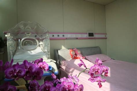 新生儿科家庭式病房：有陪更有爱 搜狐大视野 搜狐新闻