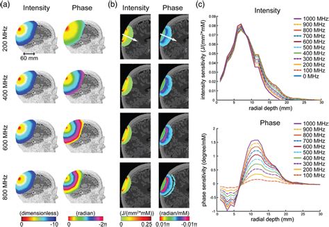 Effects Of Modulation Frequency On Fd Measurement Sensitivity In The