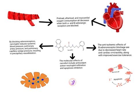 An Overview On Three Generation Beta Blockers