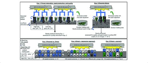 Schematic Of Experimental Design For Experiments Exp 1 5 See