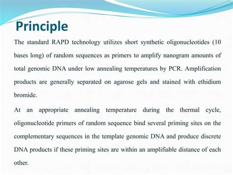 Random Amplified Polymorphic Dna Rapd Pptx Chemistry Science