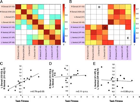 Individual Variability In Functional Connectivity Predicts Performance Of A Perceptual Task Pnas