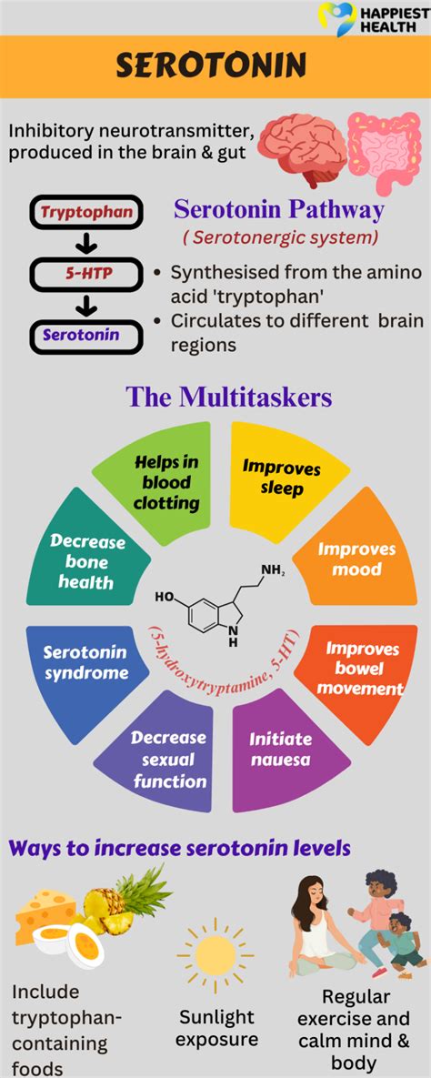 A Peek Into Diverse Role Of Serotonin Happiest Health