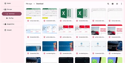 Soft File Adalah Dan Contohnya