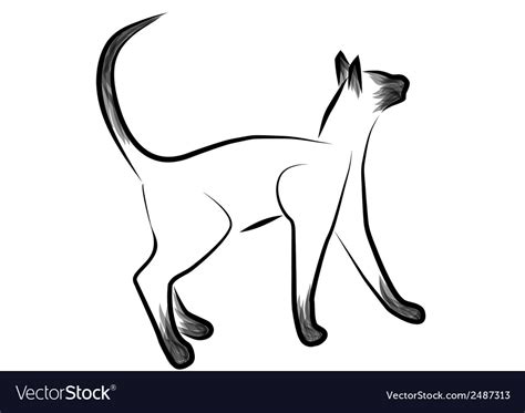 Siamese Cat Royalty Free Vector Image Vectorstock