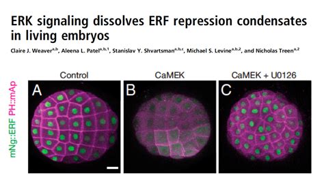 João Raimundo J Raimundo Twitter