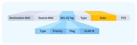 What Is Trunking In Networking