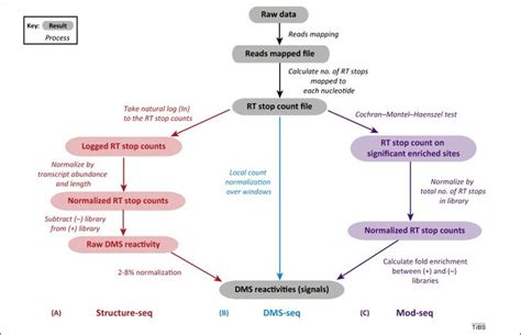 The Rna Structurome Transcriptome Wide Structure Probing With Next