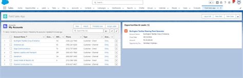 Salesforce Sfdc Internship Administrator Trailhead Neevasintern2024 Task