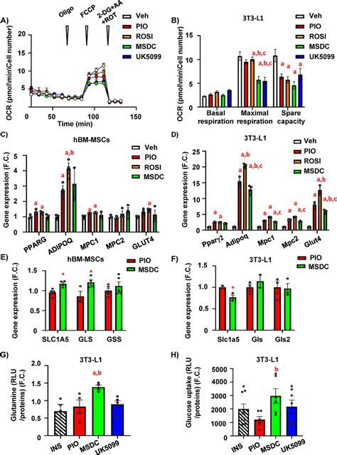 Differential Effects Of Tzds And Msdc 0602k On Cellular Metabolism In
