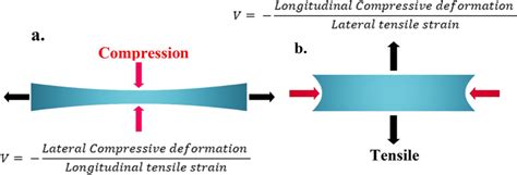Schematic Representation Of Poissons Ratio Effect For The Induced Download Scientific Diagram