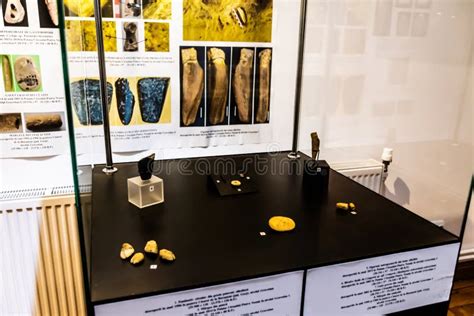 Museum Of Human Evolution And Technology In The Paleolithic Editorial