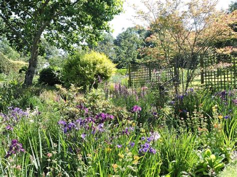 Gardens In Cornwall England