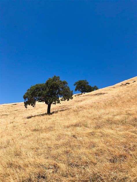 1216 Best Tree Hill Images On Pholder Earth Porn Auckland And Happy