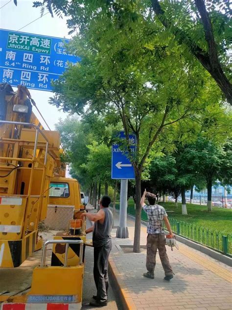 北京交警持续开展路树遮挡交通设施 排查处置工作