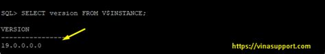 Cách Kiểm Tra Version Của Oracle Database Vinasupport