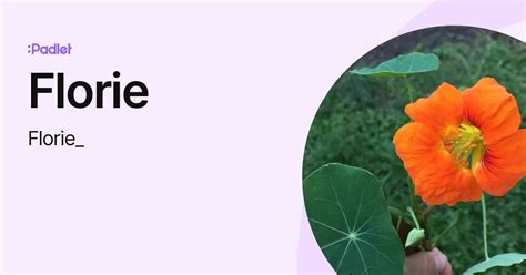 Florie Florie Profile Padlet