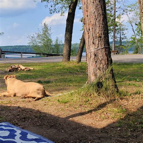 Old Orchard Park Campground Oscoda Michigan