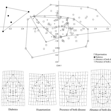 Dispersion Graph Related To The Analysis Of The Main Components For The