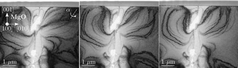 2 Dynamical Diffraction Effect In Mgo Lamella Bf Tem Micrographs Of