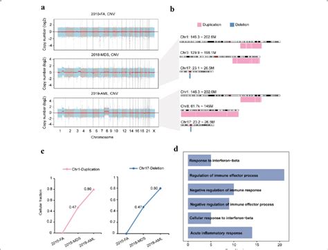 Copy Number Variants In Patient P1001 With Fa Who Later Progressed To