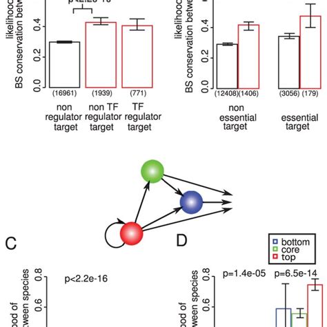 Tf Binding Sites In The Promoters Of Regulatory Genes Tf Binding Sites