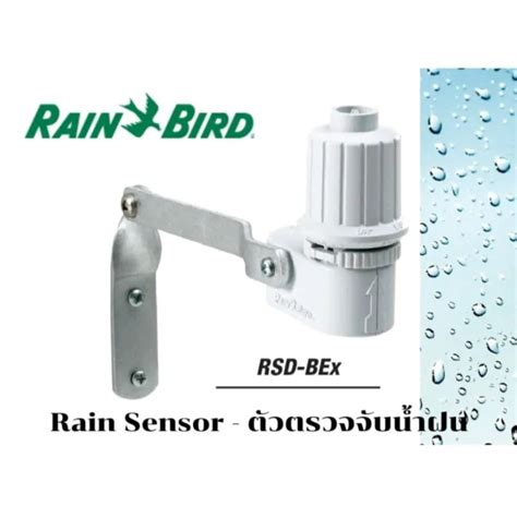 Rain Sensor Rsd Bex Rain Bird เซ็นเซอร์ตรวจจับปริมาณน้ำฝน ระบบรดนำ้อัตโนมัติ Th