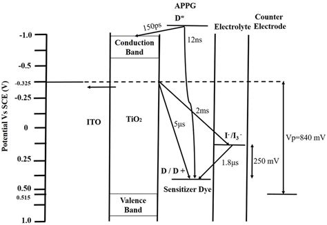 Time Scale Process Of Electron Kinetics In Dssc Download Scientific Diagram