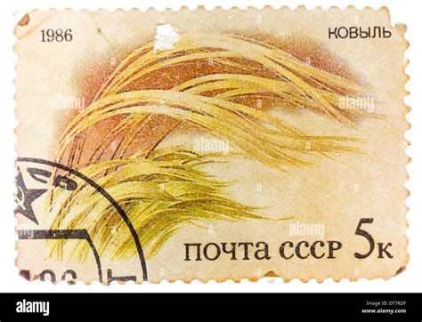 Cccp Postage Stamp High Resolution Stock Photography And Images Alamy