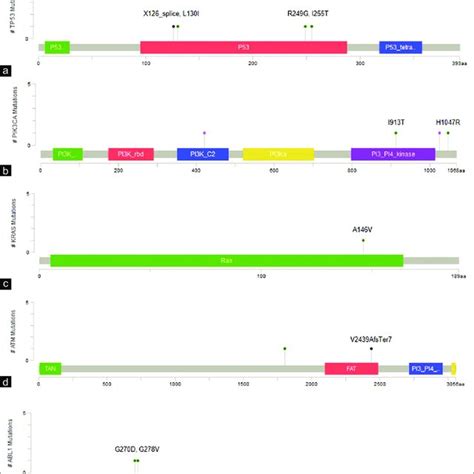 visualization of variants in protein coding regions of genes using