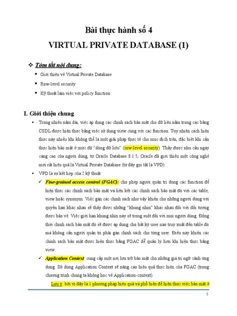 04 Oracle Virtual Private Database Pdf